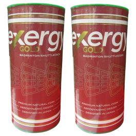 Buy Exergy Exergy Gold Badminton Shuttlecock Set of 2 Online in India ...
