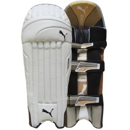 Buy Puma EVOSE Cricket Batting Pads Onlin ein India at Best Price