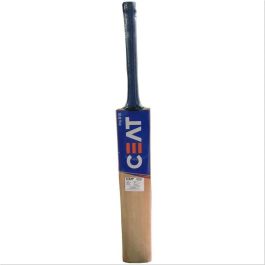 CEAT Pro R10 Kashmir Willow Cricket Bat,- Buy CEAT Pro R10 Kashmir ...
