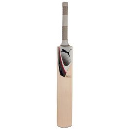 Puma Platinum 5000 English Willow Cricket Bat,- Buy Puma Platinum 5000 ...