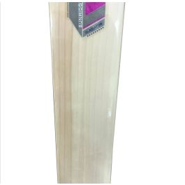 SS Ton Gladiator English Willow Cricket bat Size 5,- Buy SS Ton ...
