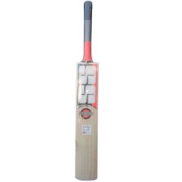 SS Elite Kashmir Willow Cricket Bat,- Buy SS Elite Kashmir Willow ...